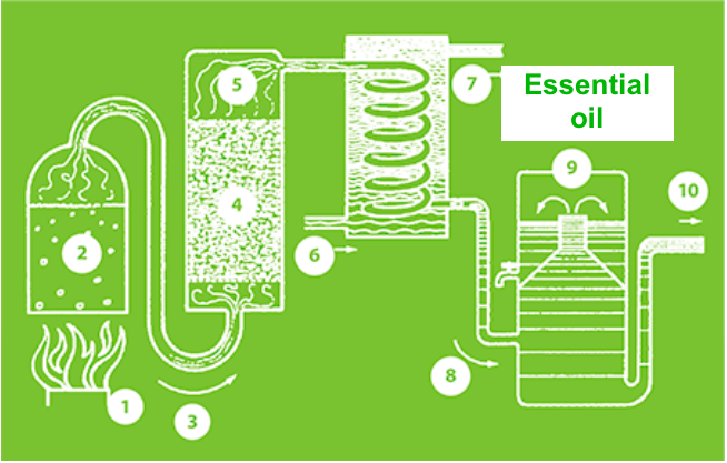 DESTILERY - Agatonika